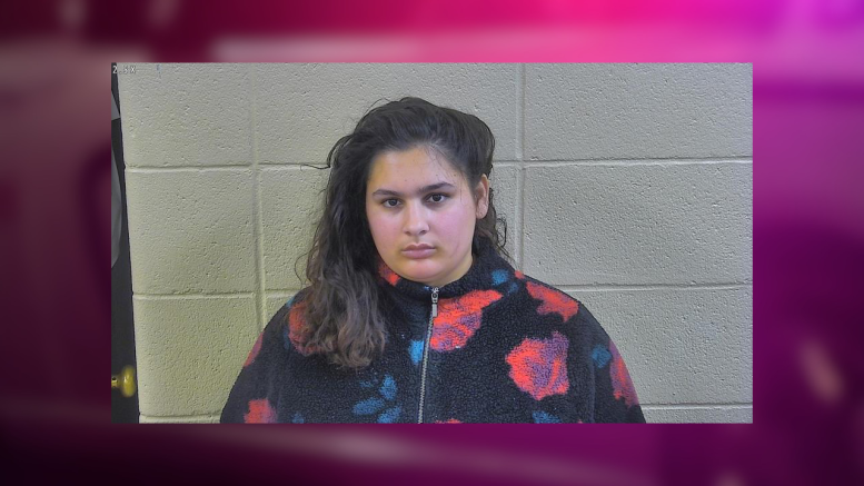 Jasper Woman Arrested On Multiple Charges 18 Wjts