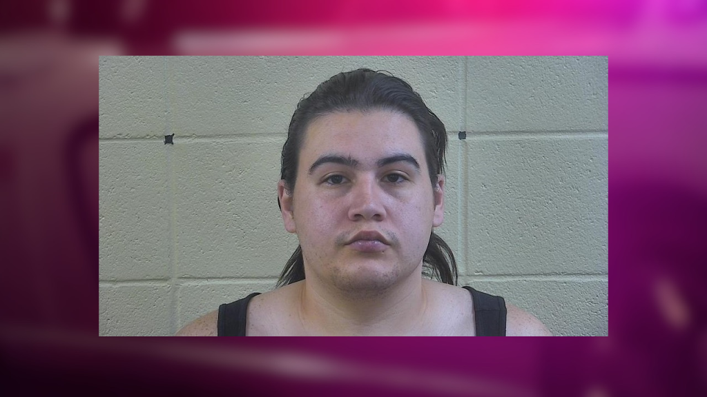 Jasper Man Arrested On Domestic Battery Charges 18 Wjts