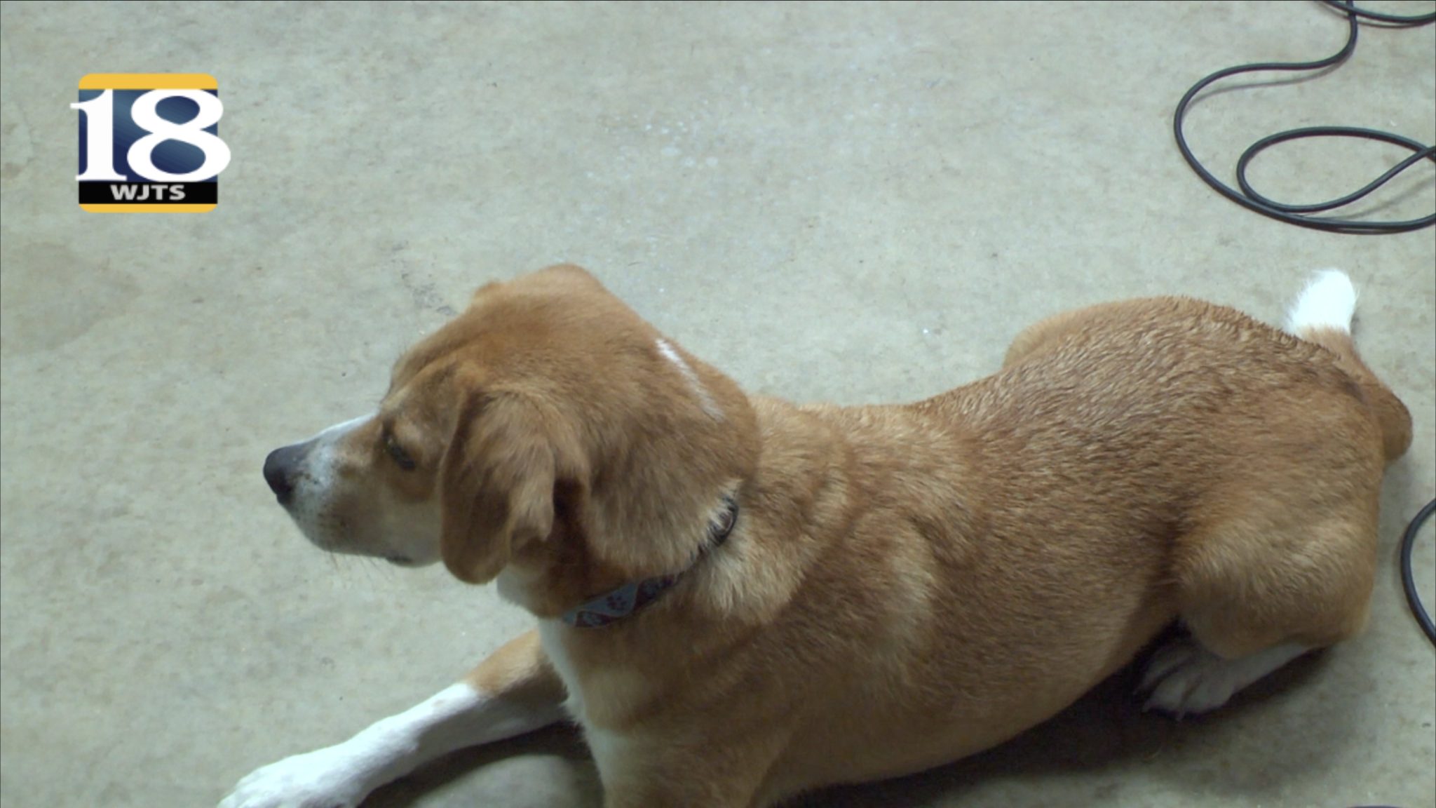 18 WJTS - Homepage - 18 WJTS