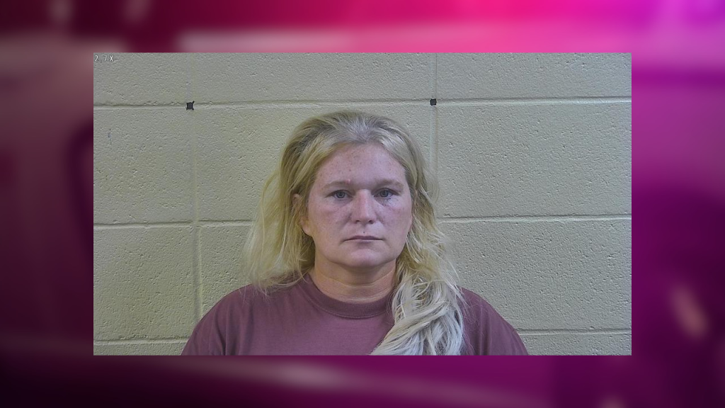 Jasper Woman Arrested On Theft Charges 18 Wjts
