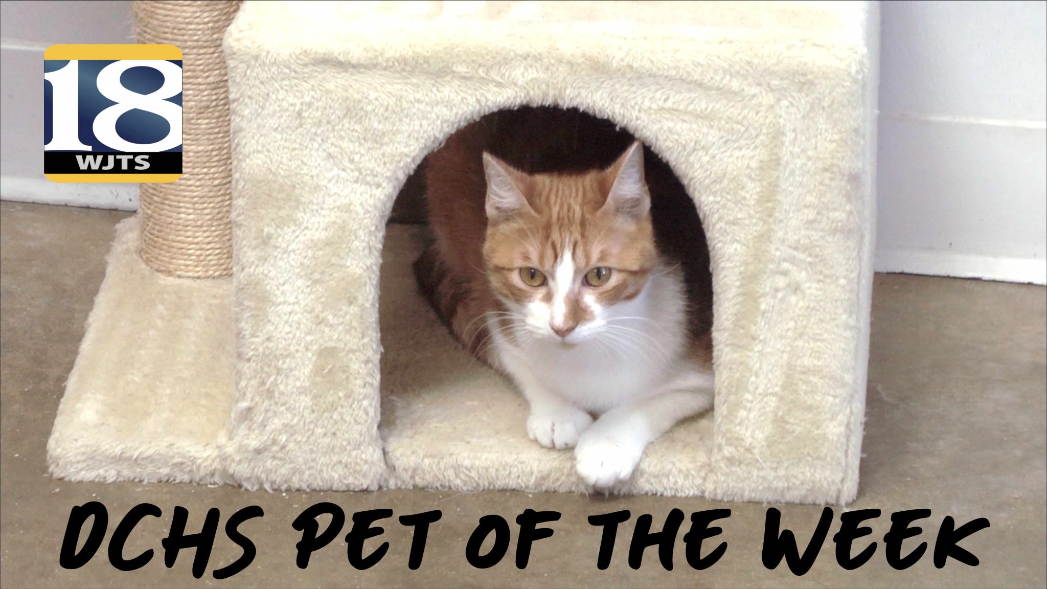 18 WJTS - Homepage - 18 WJTS