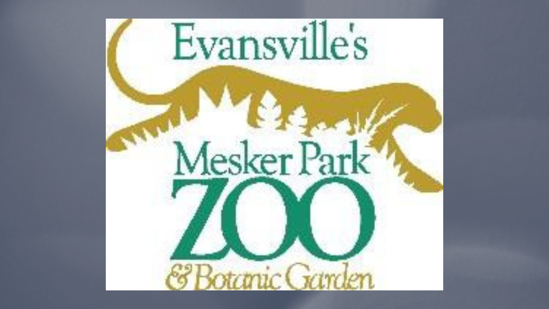 Mesker Park and ONB Announce Boo at the Zoo! - 18 WJTS