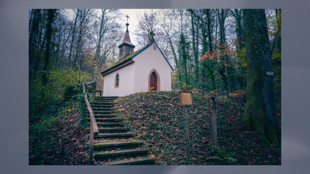 New Photography Exhibit to be Displayed at Thyen-Clark Cultural Center ...