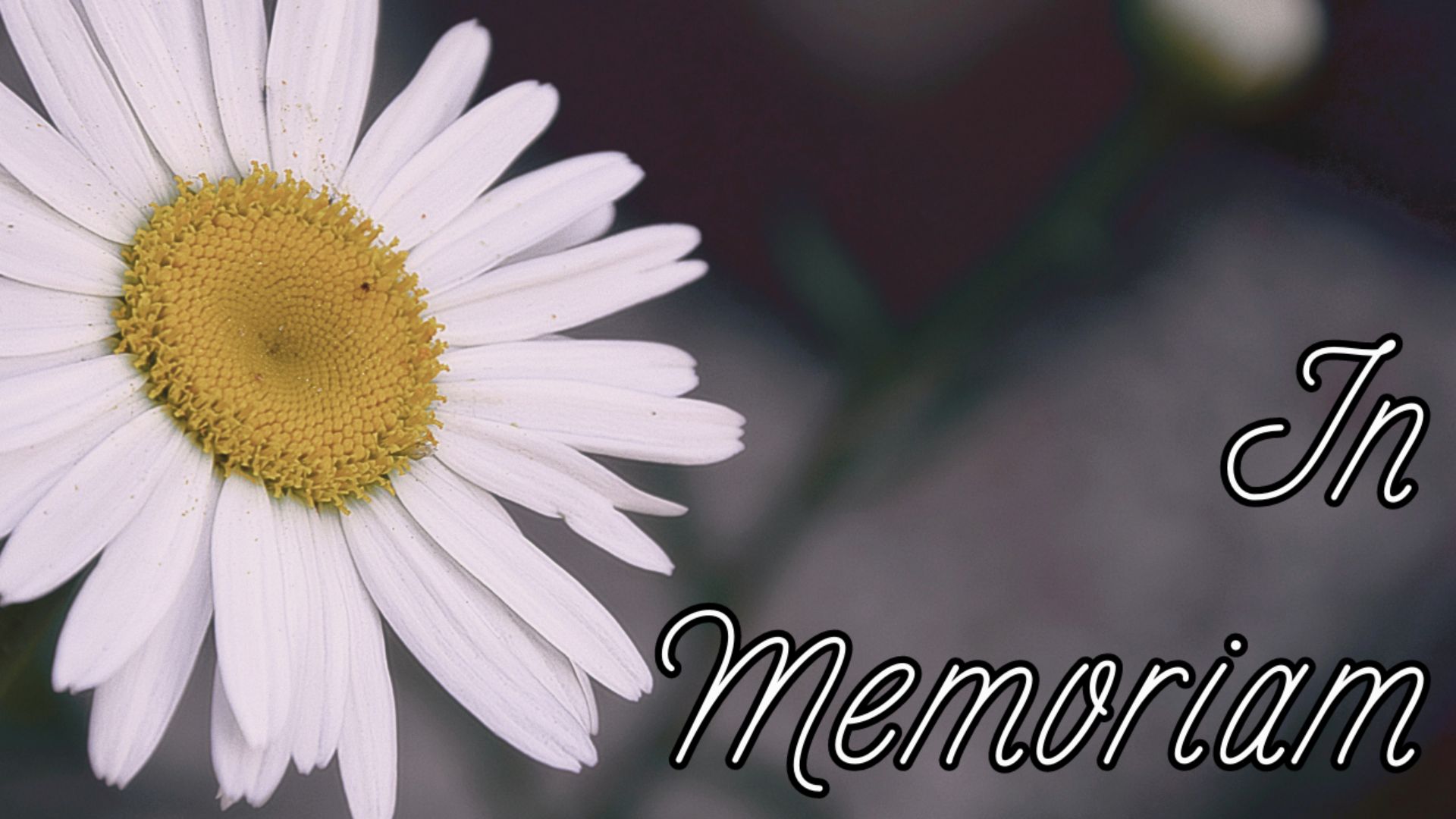 Memorial: James R. Jones - 18 WJTS